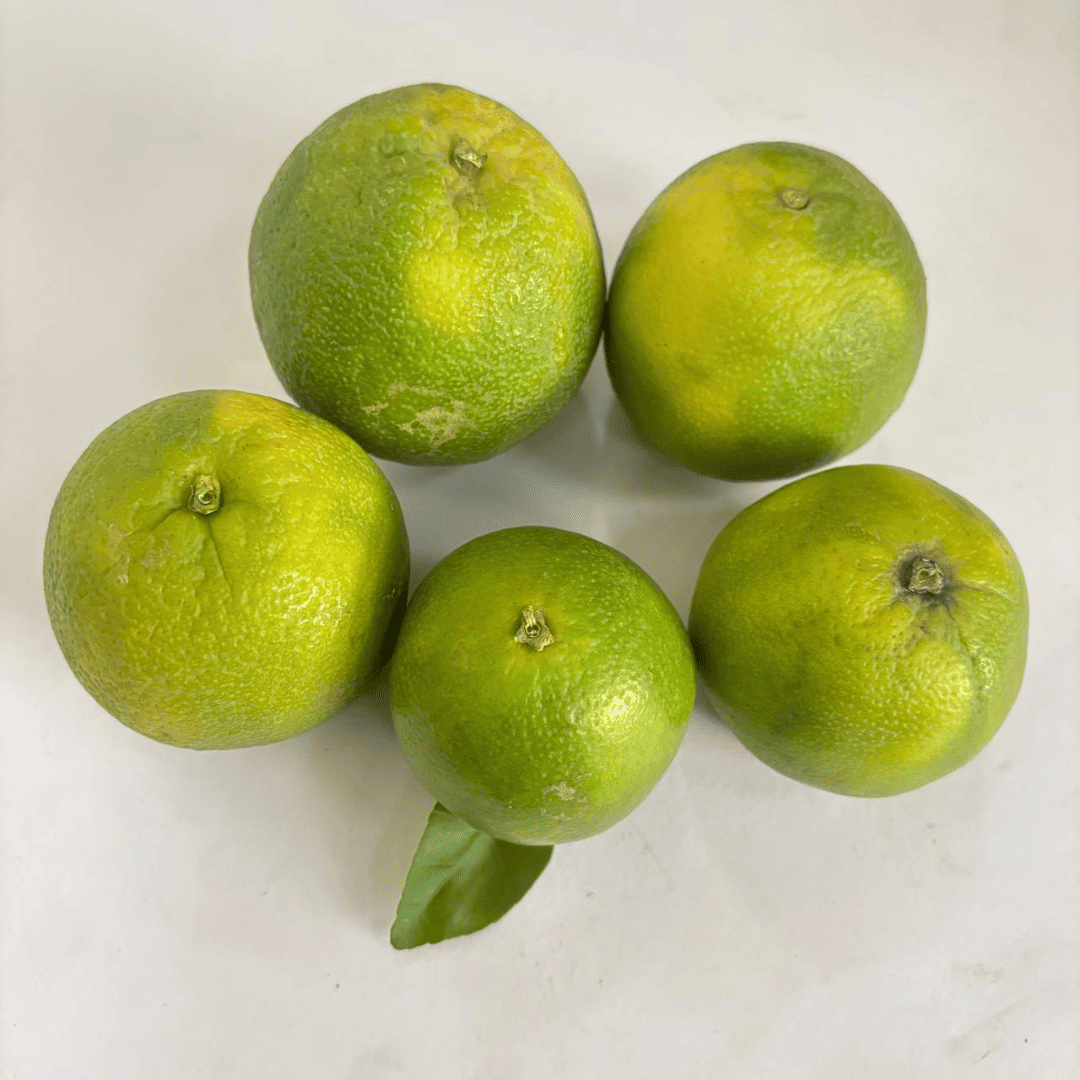 Sweet Lime – myHarvest Farms