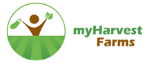 Malli - Coriander Seeds – myHarvest Farms