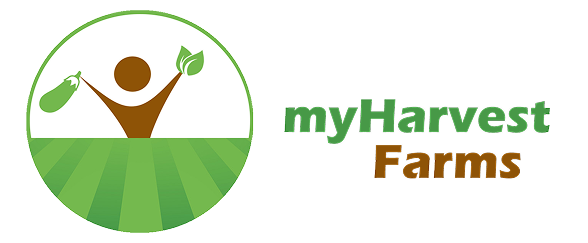 Sweets & Snacks – myHarvest Farms